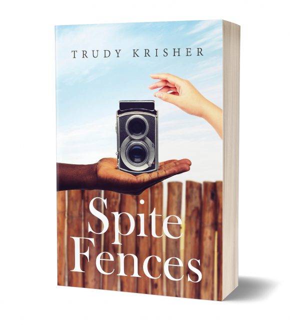 Bridges, not Fences: Why I Wrote SPITE FENCES – Trudy Krisher